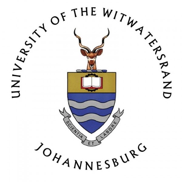 Wits Business School Logo